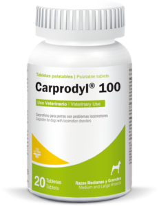 CARPRODYL 100MG x 20 TABS - Armstrong Health Care